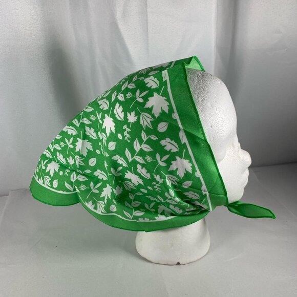 Nature Conservancy | Accessories | New Nature Conservancy Triangular ...